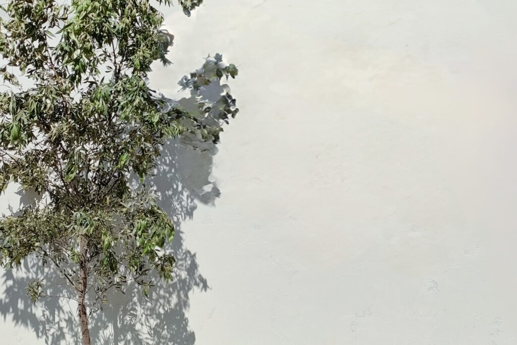 【建売住宅の間取り実例vol.15】コンパクトながらゆとりある5LDKのプラン